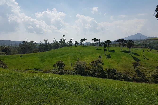 Day Tour of Nuwara Eliya - Who Would Enjoy This Tour?