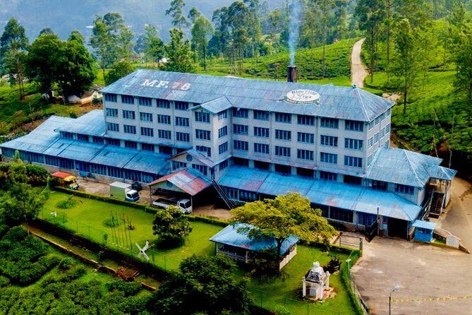 Day Tour of Nuwara Eliya - The Sum Up