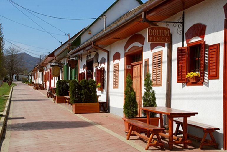 Day Tour of Pécs and with Villány with Wine Tasting - What Reviews Tell Us