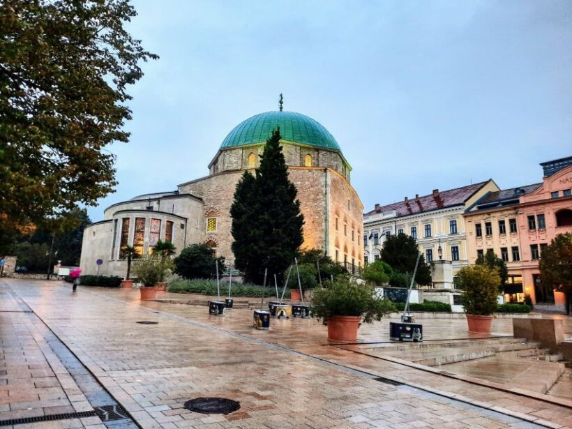 Day Tour of Pécs and with Villány with Wine Tasting - Final Words