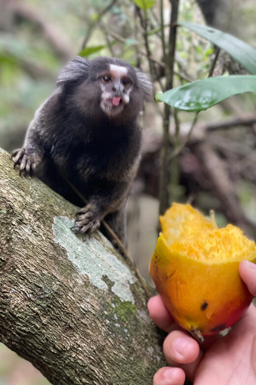 Day tour of Rio de Janeiro with drone footage - Sunset at Sugarloaf Mountain
