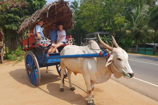 Day Tour of Sigiriya - Deep Dive: Why This Tour Works