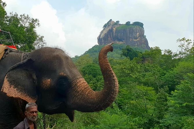 Day Tour of Sigiriya - FAQs