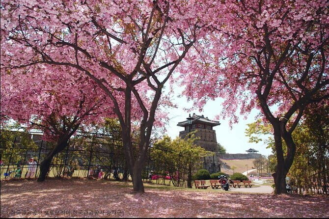 Day Tour of Suwon Hwaseong Fortress Starfield Waujeongsa Temple - Frequently Asked Questions