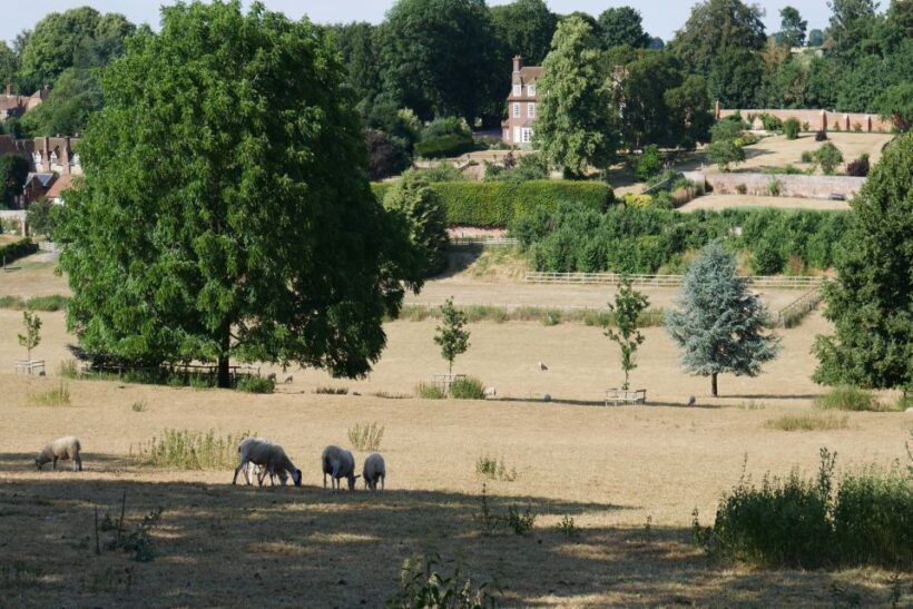 Day-Tour of the Midsomer Murders Locations - FAQs