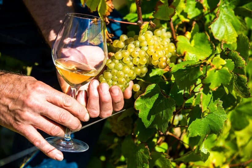 Day Tour Perfumery and Wine - Who Will Love This Tour?