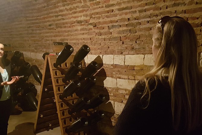 Day Tour Tasting at Moët & Chandon and 2 Big Houses in Epernay - Exploring Champagne De Castellane