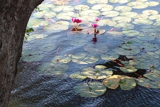 Day Tour to Anawilundawa Wetland Sanctuary - Final Thoughts
