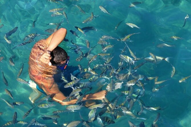 Day Tour to Angra Dos Reis and Ilha Grande - Discovering Ilha Grande