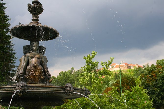 Day Tour to Brasov and Bran - Accessibility Features