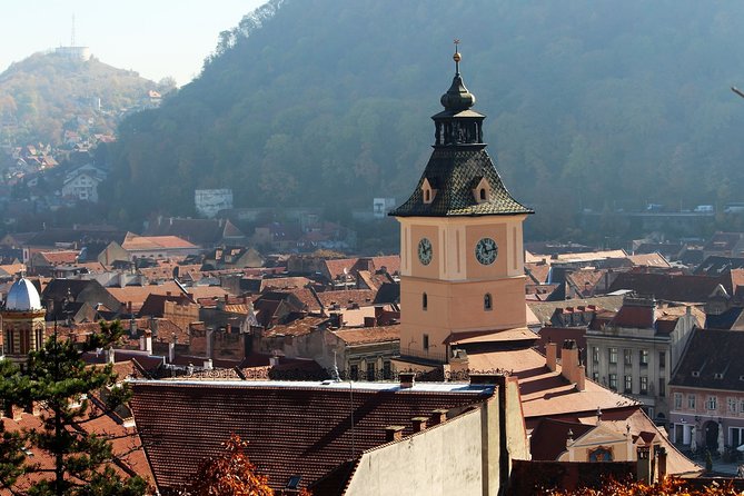 Day Tour to Brasov and Bran - Traveler Reviews and Feedback