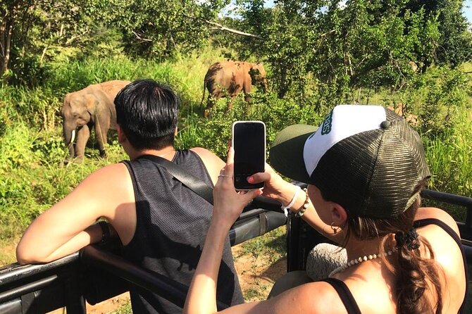 Day Tour to Dambulla, Sigiriya and Safari from Kandy (Group Tour) - Final Thoughts