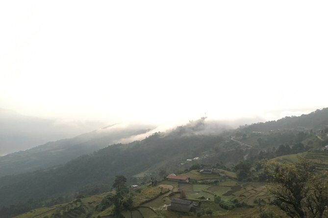 Day Tour to Dhampus with 4WD - What Travelers Say
