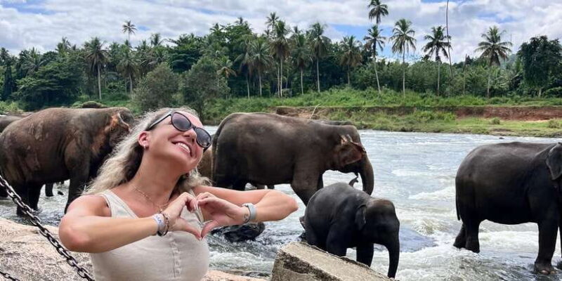 Day Tour to Elephant Orphanage / spice garden - Pricing and Value