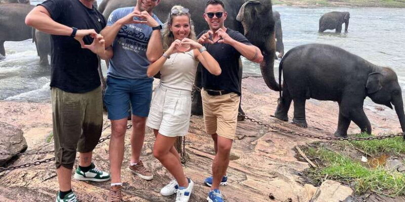 Day Tour to Elephant Orphanage / spice garden - Authentic Experiences and Traveler Feedback