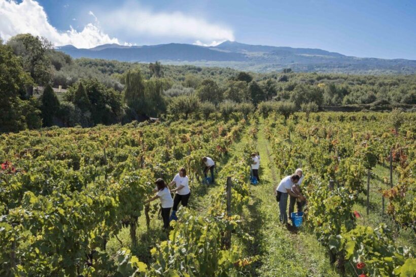 Day Tour To Etna Volcano, Winery and Taormina from Catania - Practical Details and Considerations