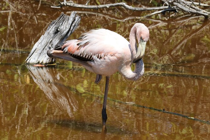 Day Tour to Floreana Island With Snorkeling and Fishing - Luxury Yacht Experience