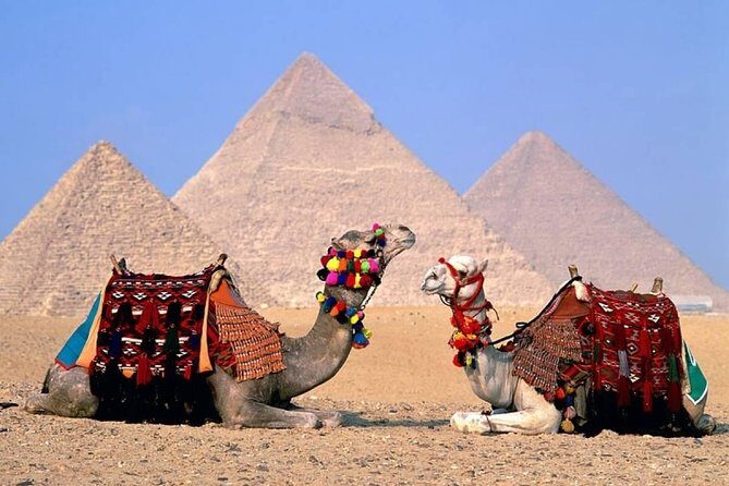 Day Tour to Giza Pyramids, The National Museum Of Egyptian Civilization & Bazzar - Exploring Cairo’s Highlights in One Day