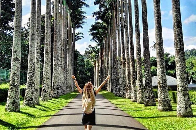 Day Tour To Hill City of Kandy From Bentota - The Sum Up
