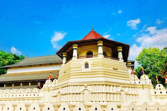 Day Tour to Kandy From Colombo - An In-Depth Look at the Tour Experience