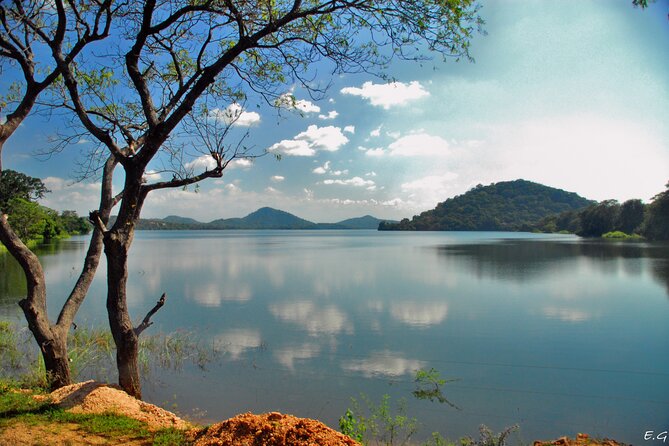 Day tour to Minneriya National Park,Sigiriya & Dambulla from Kandy - Who Is This Tour Best For?
