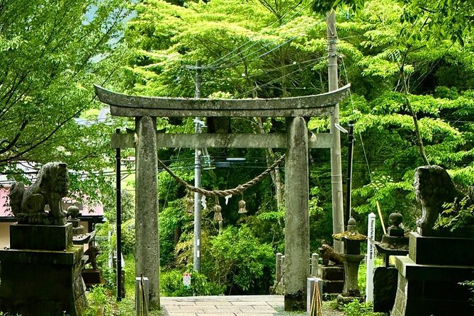 Day Tour to Miyazaki Takachiho Gorge & Shrine Depart From Fukuoka - Highlights of the Tour