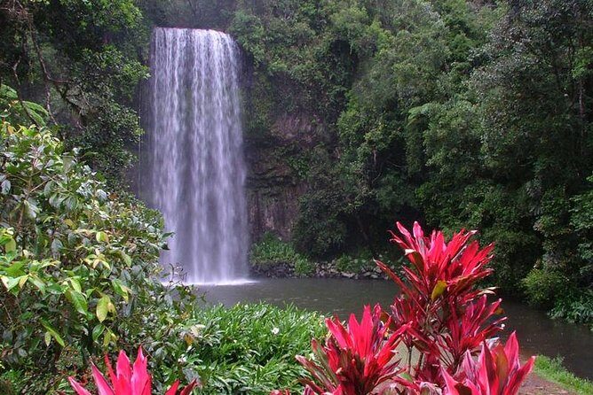 Day Tour to Paronella Park, Lake Barrine and Millaa Millaa Falls - A Deep Dive into the Day Trip Experience
