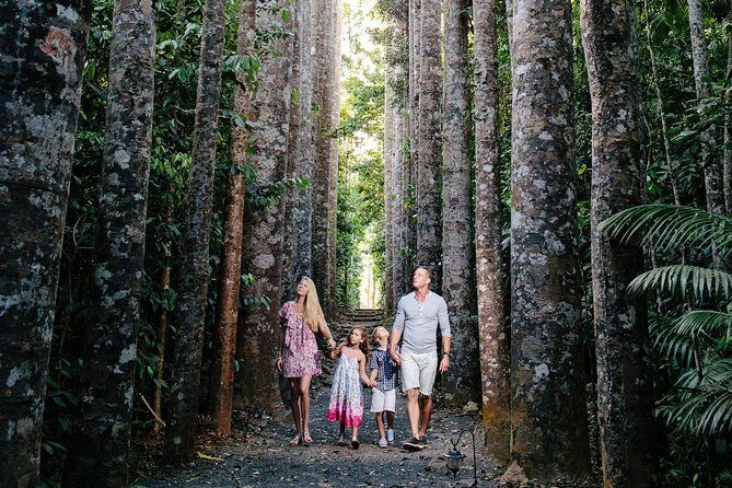 Day Tour to Paronella Park, Lake Barrine and Millaa Millaa Falls - Final Thoughts: Is It Worth It?