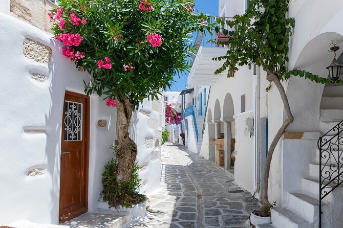 Day Tour to Santorini Island From Heraklion Crete - Tour Experience Highlights