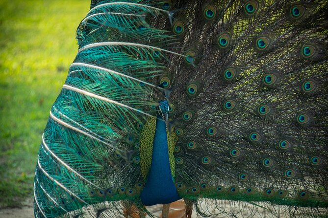 Day Tour to Wilpattu National Park from Colombo - Why This Tour Offers Good Value