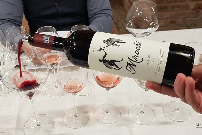 Day Tour: Visit Histria Winery and Ancient Citadel - Key Points