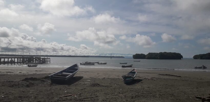 Day Tour Whale Watching from Cali - Sundays - - Key Points