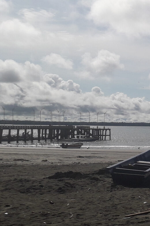 Day Tour Whale Watching from Cali - Sundays - - An In-Depth Look at the Experience