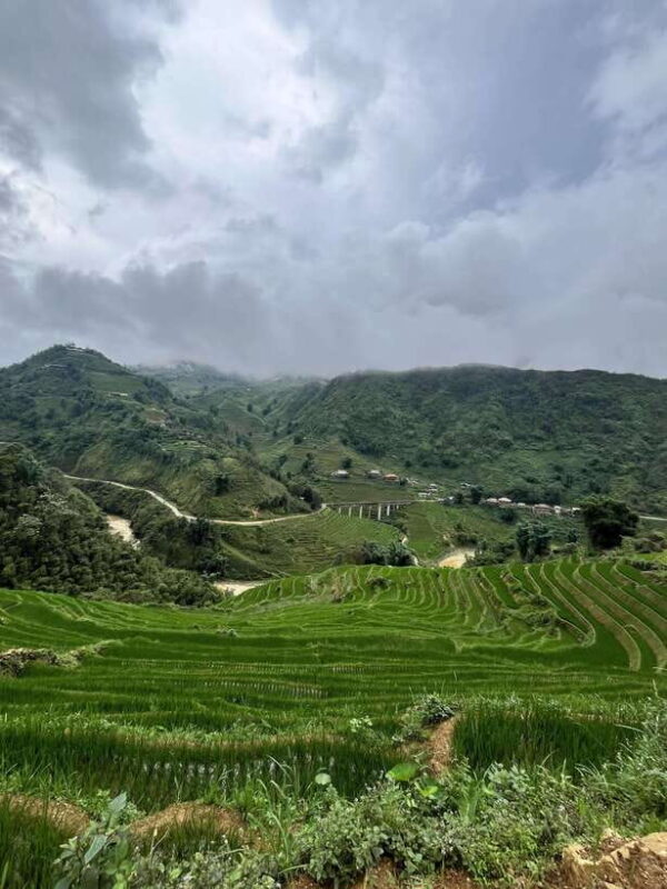 Day Tour with herbal bath with Co:Red Dao Cultural Immersion - Who Is This Tour Best For?