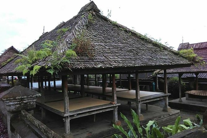 Day Tour with Sunrise and waterfall - Who Is This Tour Best For?