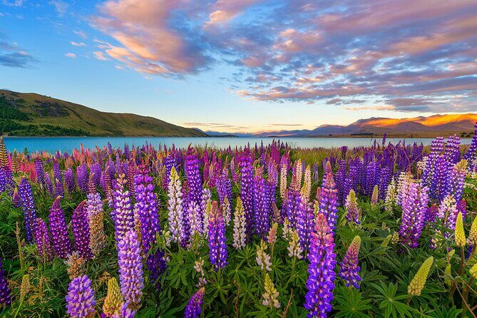 Day Tours from Mount Cook - Transportation & Group Size