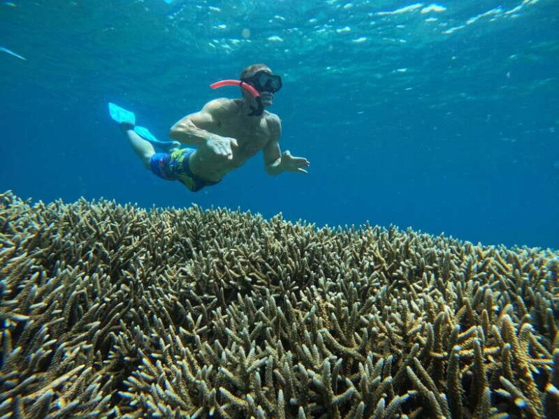 Day Trip 3 Secret Gilis in West South Of Lombok - Final Thoughts: Who Will Love This Tour?