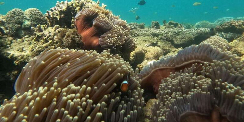 Day Trip 5 Secret Giilis in West South of Lombok - An Authentic Look at the Day Trip to 5 Secret Gilis