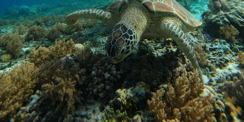 Day Trip 5 Secret Giilis in West South of Lombok - Who Should Consider This Tour?