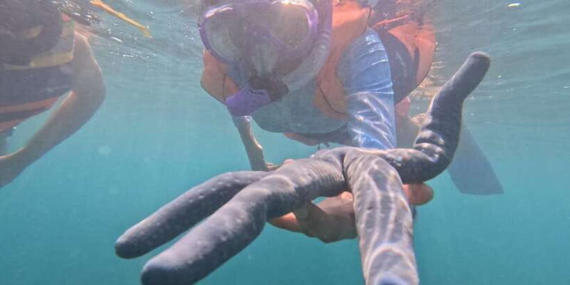 Day Trip 5 Secret Giilis in West South of Lombok - FAQ