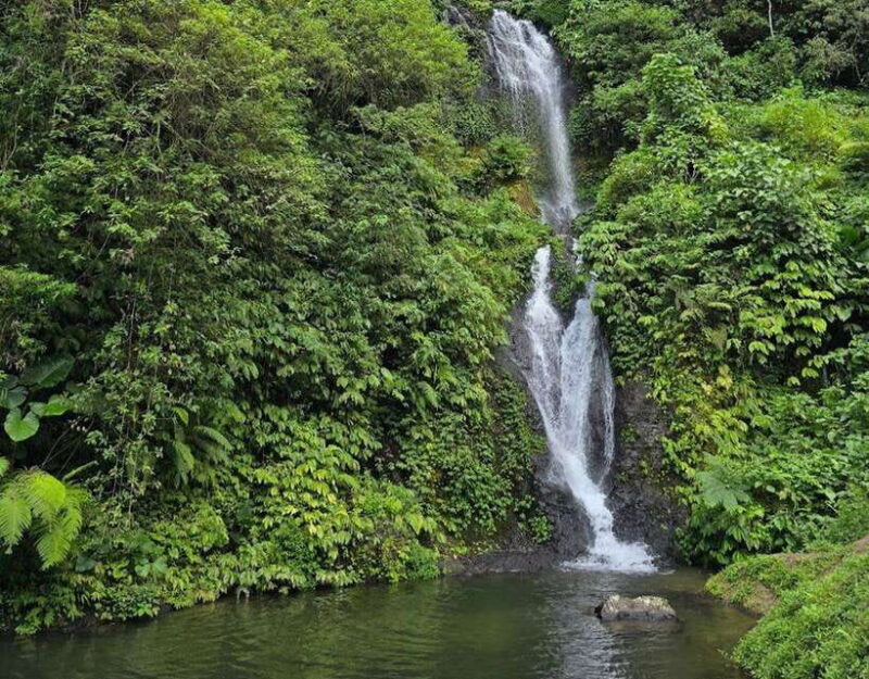 day trip bali: ulundanu,handara gate,banyumala waterfalls - What’s Included and What’s Not