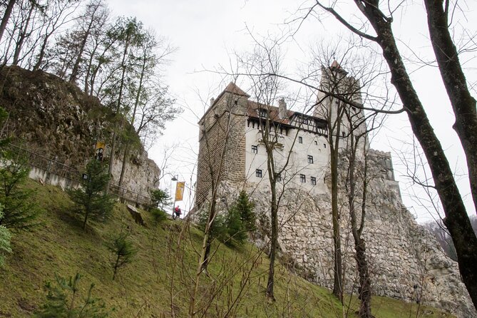 Day Trip Bear Sanctuary, Bran Castle, Rasnov Fortress from Brasov - What the Tour Includes