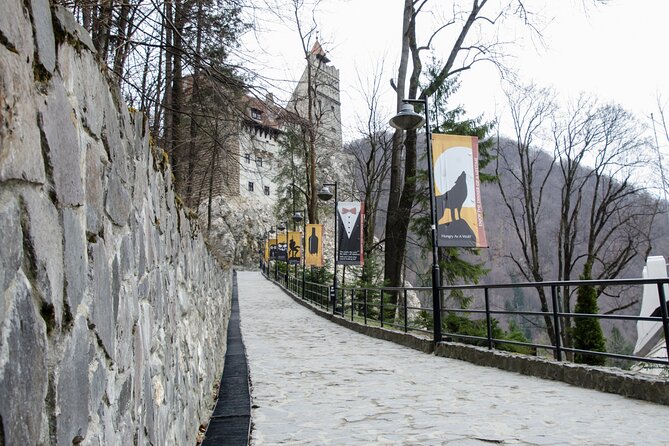 Day Trip Bear Sanctuary, Bran Castle, Rasnov Fortress from Brasov - Transportation and Timing