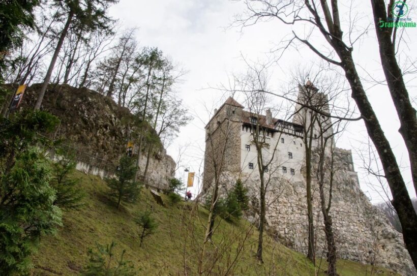 Day trip Bran Castle, Rasnov Fortress and Bear Sanctuary - Who Should Consider This Tour?