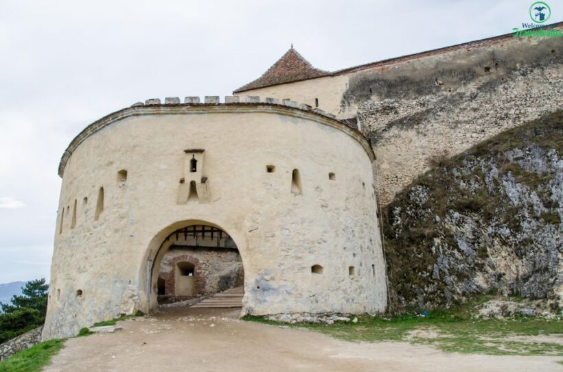 Day trip Bran Castle, Rasnov Fortress and Bear Sanctuary - The Sum Up