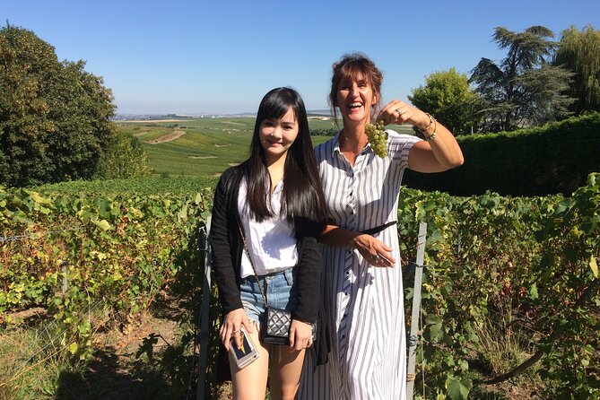 Day Trip by Van in Champagne Small Group of 8 - Culinary Experiences