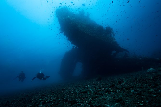 Day Trip certified divers - 3 Dives in Tulamben (pick-up & drop-off included) - What Makes This Dive Trip Stand Out?