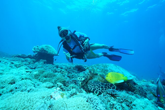 Day Trip Discover Scuba dive in Nusa Penida 2 dives (From Sanur - South Bali) - Key Points