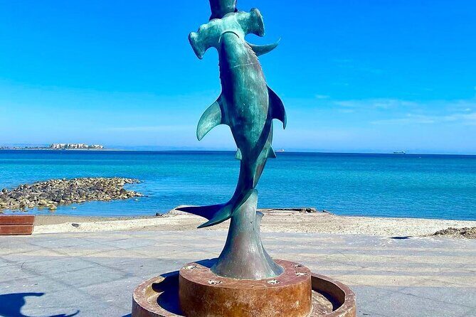 Day trip excursion to La Paz BCS & Balandra beach - Final Thoughts: Is This Tour Right for You?
