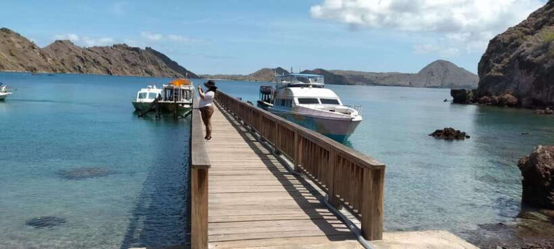Day Trip Explore Komodo National Park by Private Speed Boat - Why This Tour Offers Great Value